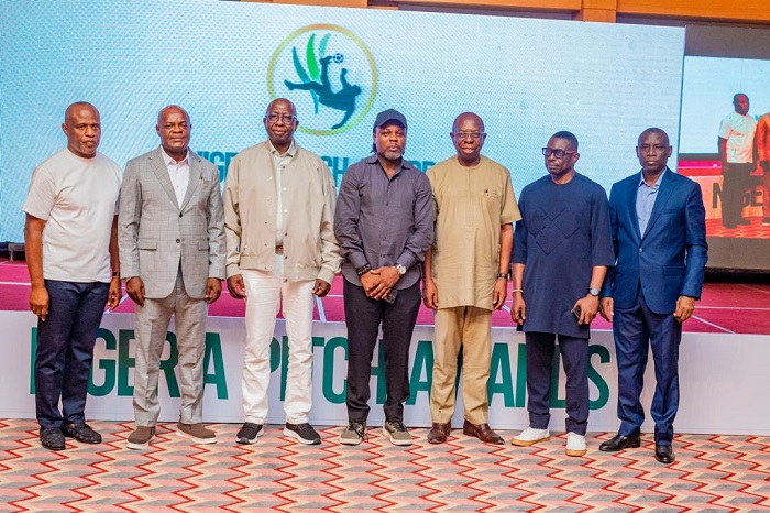 Lookman, Ajibade shine at 2024 Pitch Awards - SportsDay